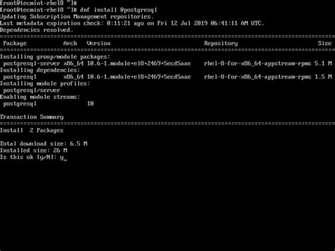 C Mo Instalar Postgresql En Rhel Ilinuxgeek