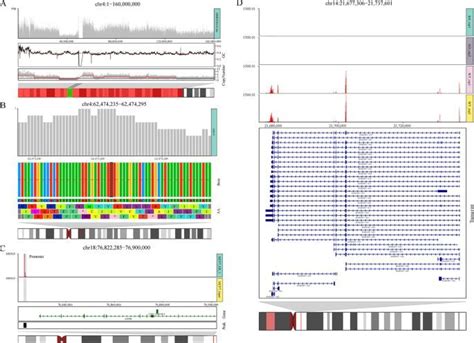bmc on linkedin ggcoverage an r package to visualize and annotate genome coverage for…