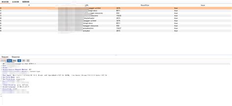 GitHub SpringScan 一个扫描Spring的常见敏感目录的burp suite插件