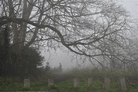 אדמה יוצרת היער המכושף יואל שתרוג אדמה יוצרת