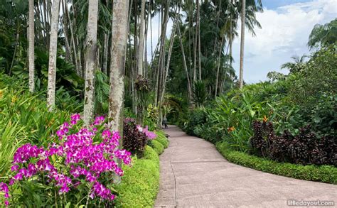 National Orchid Garden Singapore
