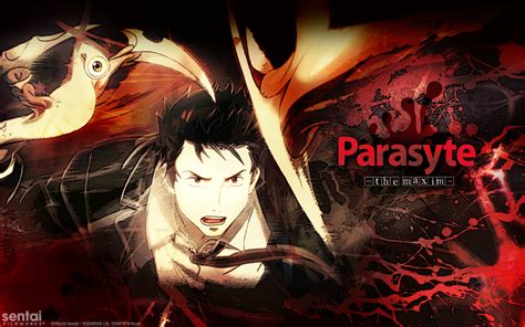 Parasyte The Maxim Official Shinichi And Migi Wallpaper From Sentai