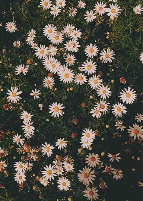 Filter Kapi On Tumblr