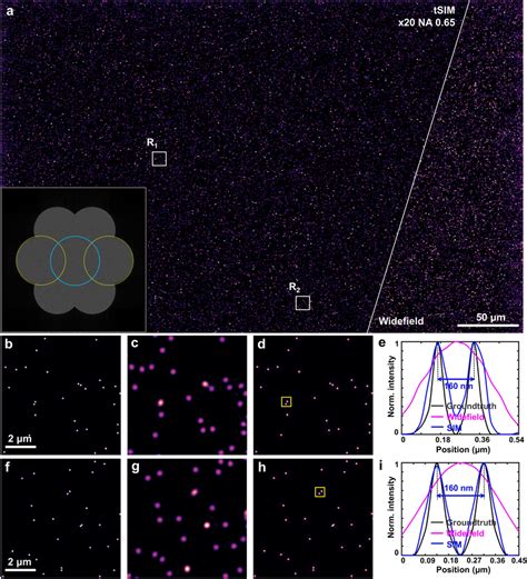 Simulation Result Of High Frequency Tsim Imaging Using Synthetic