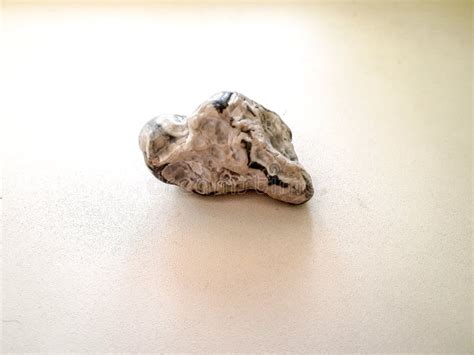 Small Meteorite Stock Image Image Of Mini Abstraction 96462561