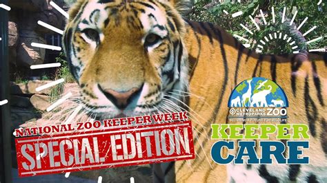Keeper Care National Zoo Keeper Week Youtube