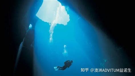 「澳大利亚梦幻的潜水圣地」海底世界美景尽收眼底。 知乎
