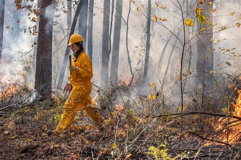 37413forest Resource Management Class Nov 2021 Wvuphotos
