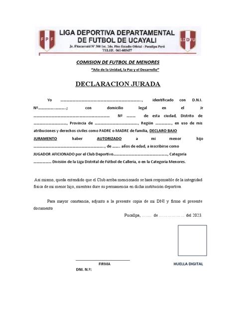 Declaracion Jurada 2023 Pdf