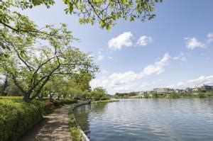 千波公園ロケ地紹介 みとフィルムコミッション 水戸市ホームページ