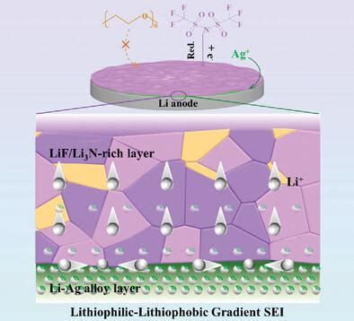 Advanced Functional Materials X Mol