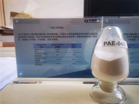 聚芳醚（pae）树脂 塑料橡胶产品