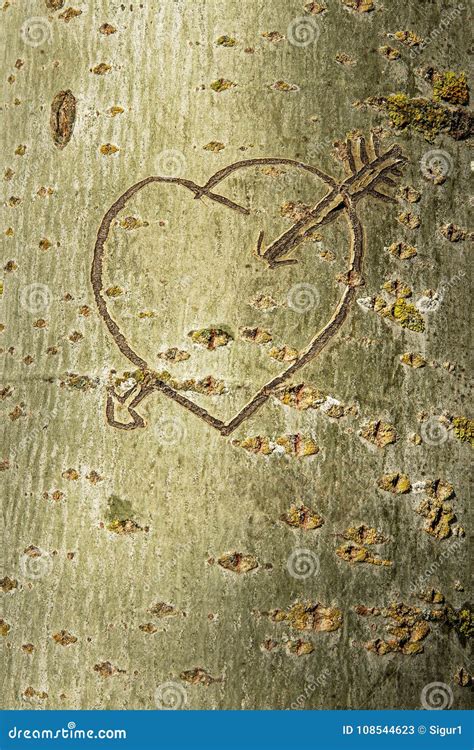 Engraved Tree Stock Image CartoonDealer Com