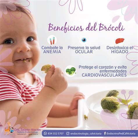 El Brócoli Es Un Alimento Rico Y Nutritivo Alto En Vitamina C