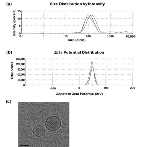 Particle Size And Morphology Of The Cationic Liposomes Representative