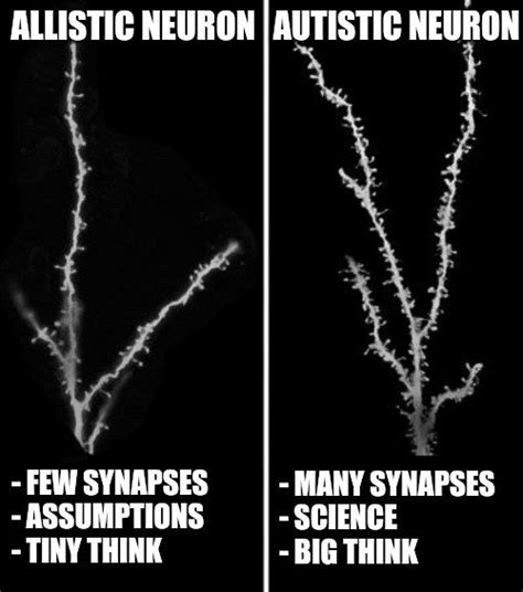 Extra Synapses For More Evil Revilautism