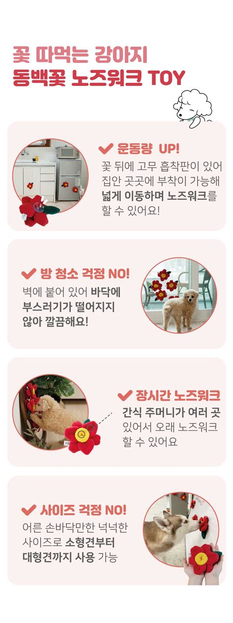 제주 동백꽃 노즈워크 장난감 주 레미디