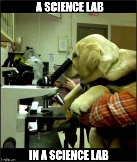 Science Labs Imgflip