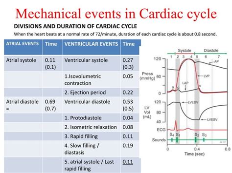 Cardiac Cycle Made Easy PPTX Heart And Cardiovascular Diseases Diseases And Conditions