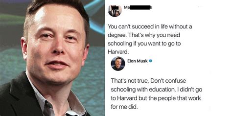 elon musk thinks conventional schooling is useless here s