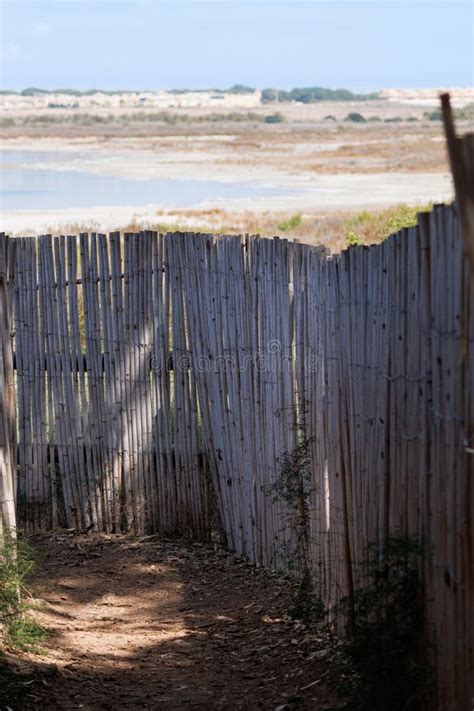 Access Path To Fauna Observatory In The Lagunas De La Mata Natural Park
