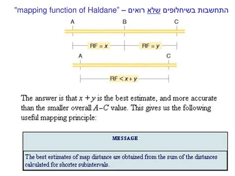 שיטות מיפוי נוספות Ia שימוש בכרומוזום Y כ בוחן Ppt Download