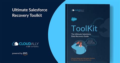 Toolkit How To Recover Deleted Salesforce Data Opentext Cloudally