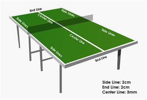 A Comprehensive Guide To Ping Pong Table Dimensions