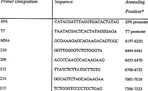 Primers For Sequencing Download Table