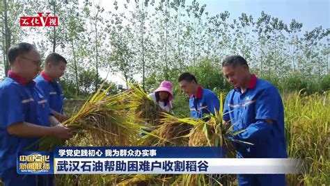 武汉石油阳逻油库吞吐量突破10万吨中国石化网络视频