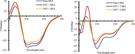 Comparative Analysis Of Au And Ausio2 Nanoparticleprotein