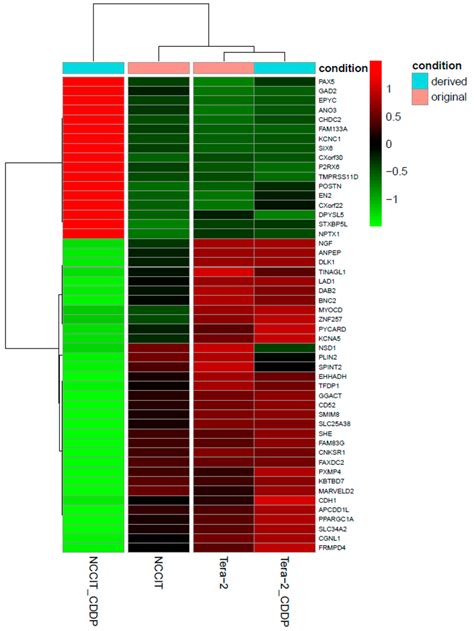 hierarchical clustering of original and cddp treated cell lines based