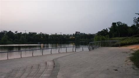 阜陽夜色之七漁河風景如畫 每日頭條
