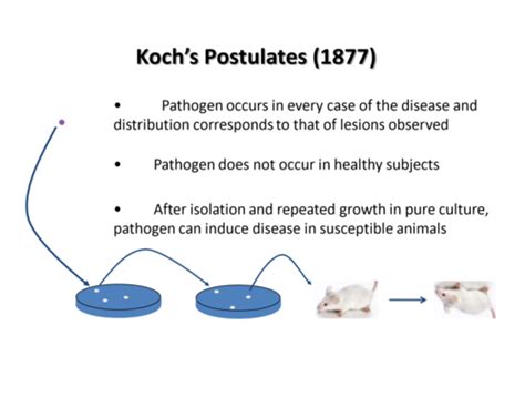 Pathogenicity And Virulence Concepts D Flashcards Quizlet