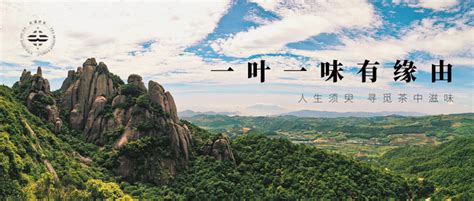 白茶印象｜一叶一味有缘由 知乎