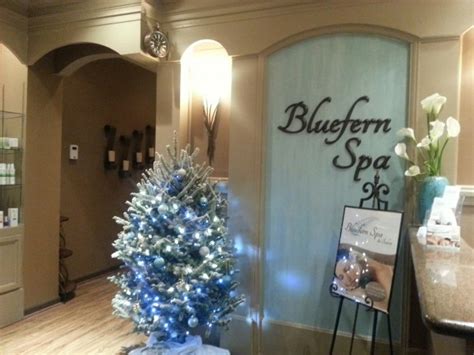 Bluefern Spa At Johns Creek Find Deals With The Spa And Wellness T