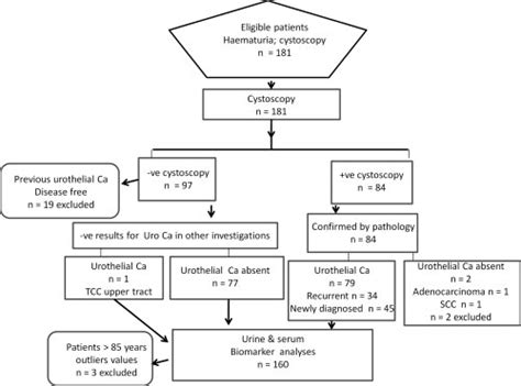 This Shows A Flow Chart Of Study Patients Presenting With Hematuria N Download Scientific