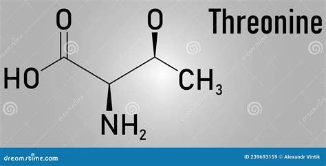 Threonine Or L Threonine Thr T Amino Acid Molecule Skeletal Formula