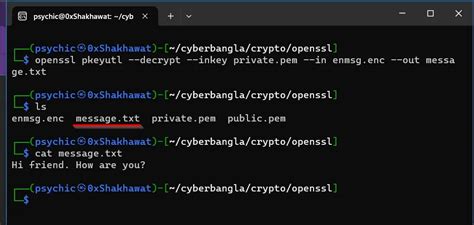 Demystifying Rsa Encryption And Decryption With Openssl Shakhawat Penetration Tester