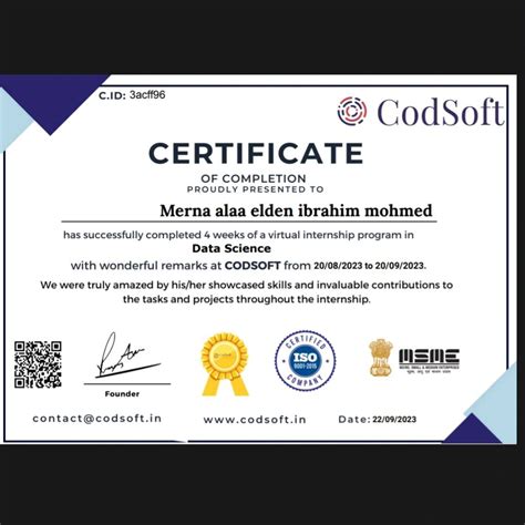 Codsoft Datascience Python Internship Merna Alaa