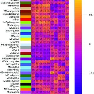 Module Trait Relationships Between Co Expression Modules And