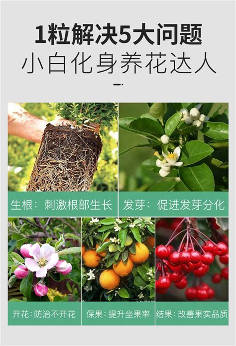厂家直销八个老头促花座果胶囊磷酸二氢钾花肥料养花盆栽家用通用 阿里巴巴