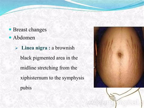 Maternal Adaptation During Pregnancy Pptx Pregnancy Reproductive Health