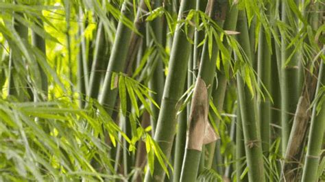 85后博士，为重庆人修了一座桥：为平民阶层做事，所学才有价值 知乎
