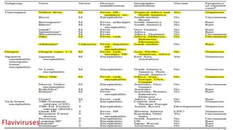 Viral Hemorrhagic Fevers PPTX
