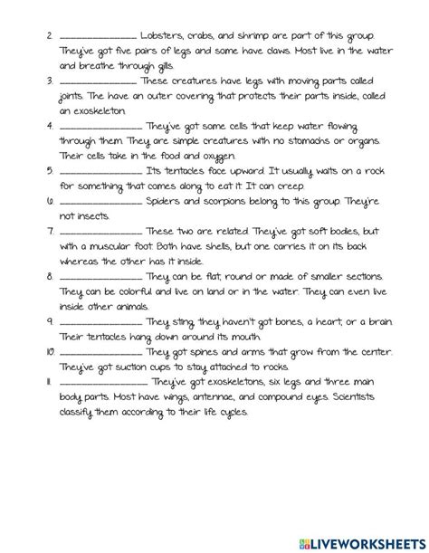 Reading Exercise Free Interactive Worksheets 706386