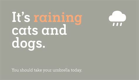 Bariol Serif On Behance