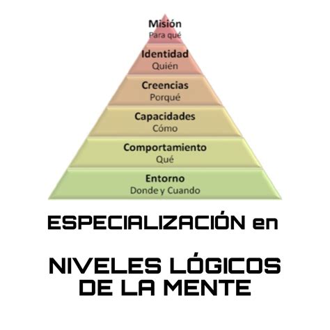 NIVELES NEUROLÓGICOS