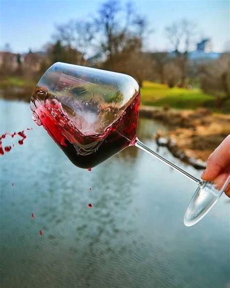 Zalto Burgundy Glass Set Of 2 The Bar Collective