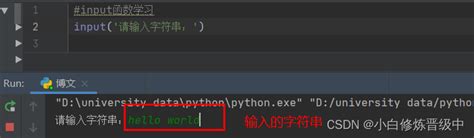 Python的input函数用法python Input Csdn博客